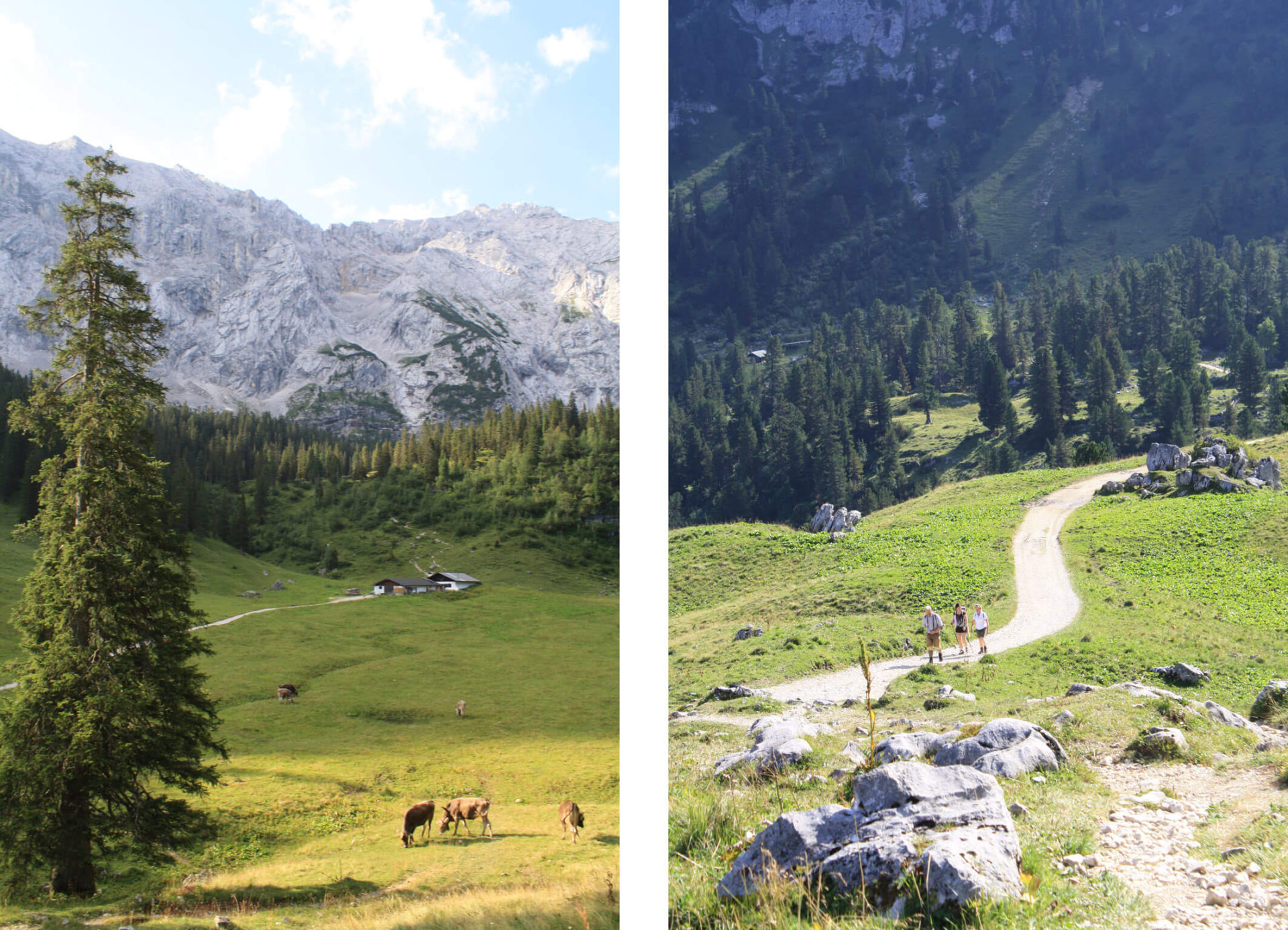 Wanderung zum Königshaus am Schachen | Garmisch erleben