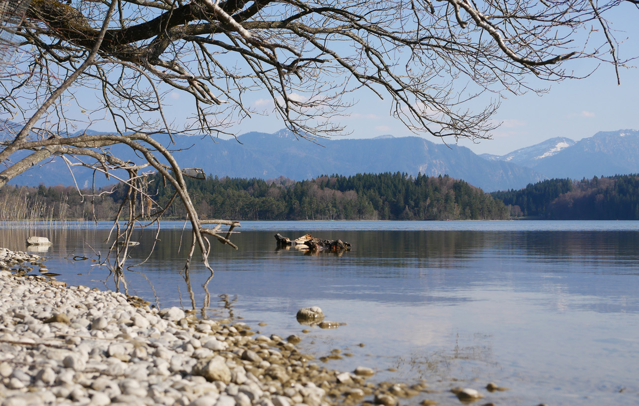 Rundweg im Naturschutzgebiet Staffelsee Westufer | Garmisch erleben